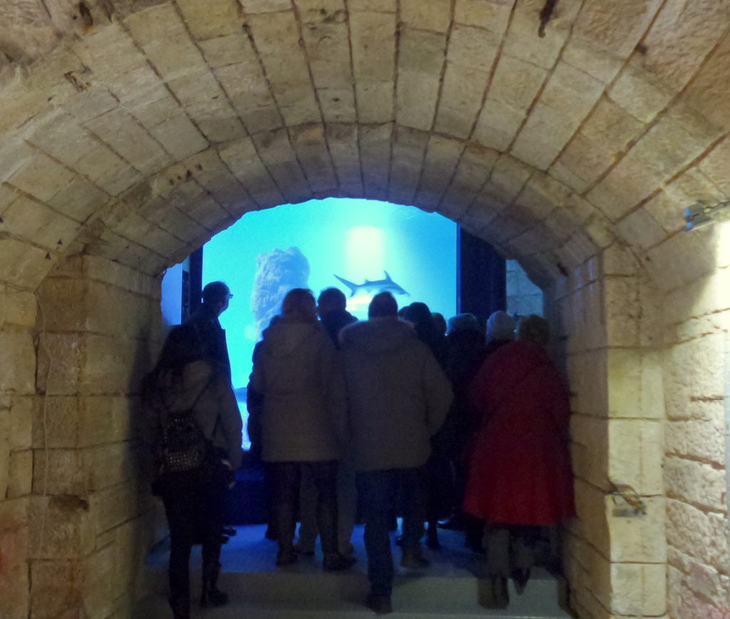 Aquarium Pula: Fort Verudela postao najveći akvarij u Hrvatskoj